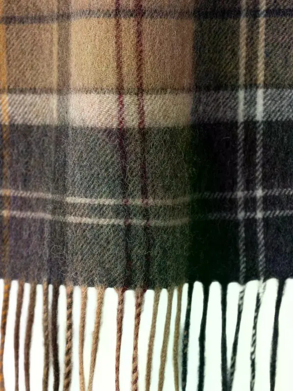 Barbour Serena Tartan Fringed Scarf