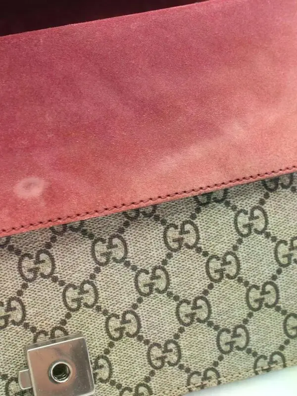 Gucci 2000s Dionysus Gg Blooms Shoulder Bag