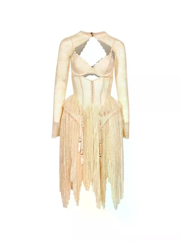 Zimmermann Valian Lace-panelled Corset-style Midi Dress