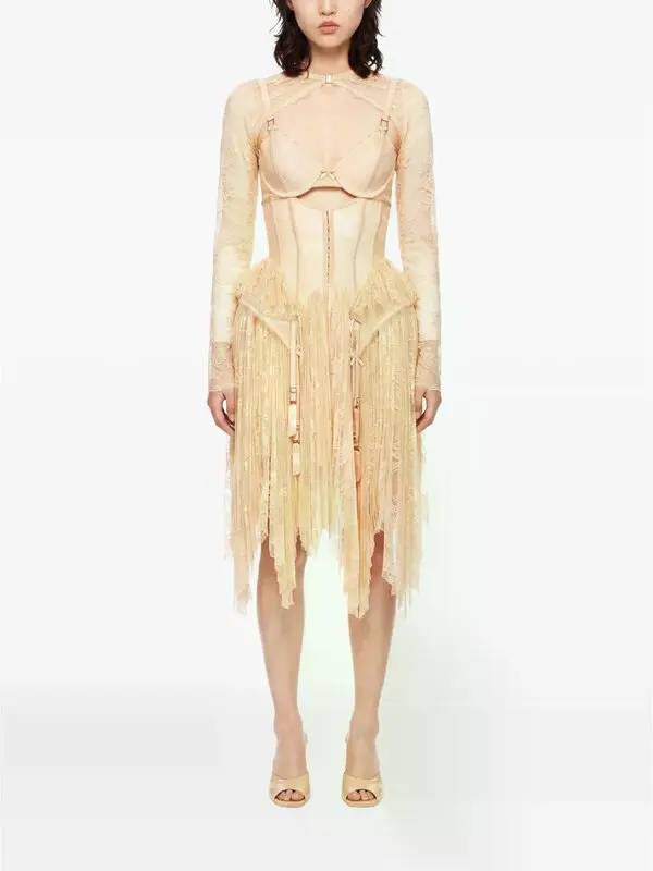 Zimmermann Valian Lace-panelled Corset-style Midi Dress