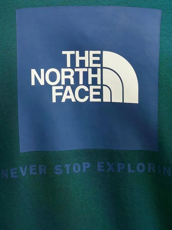 The North Face Raglan-sleeve Logo-print Hoodie