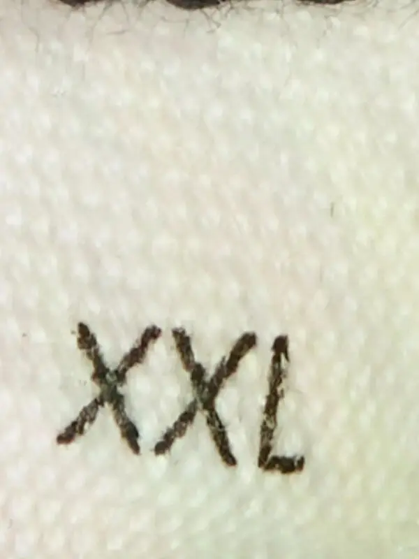 Jacquemus Logo-embroidered Sweatshirt