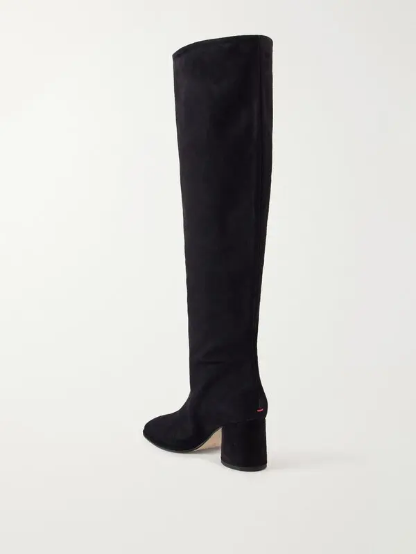 AeydĒ Almut Suede Knee Boots