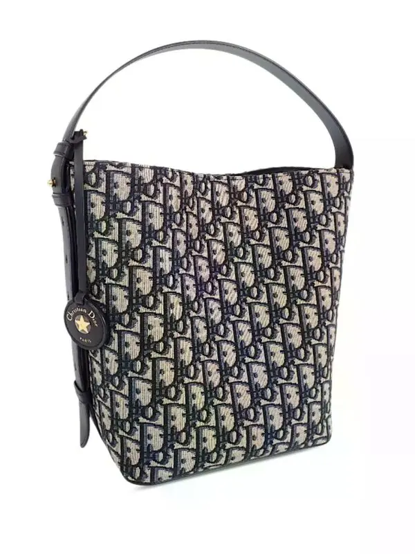 Dior 2000-2026 Small Oblique Canvas Diorstar Bucket Bag