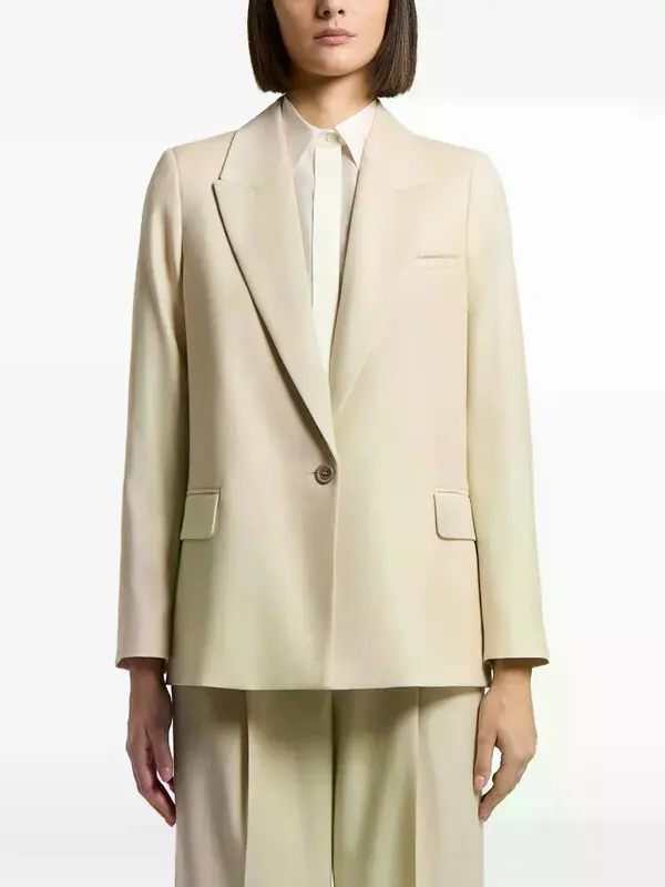 Peserico Single-breasted Peak-lapels Jacket