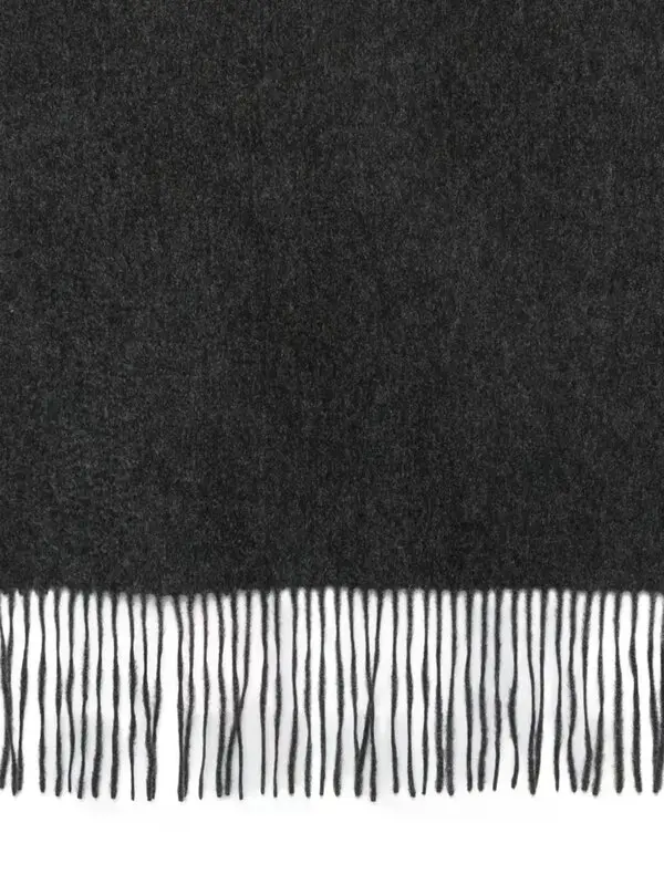 C.T.PLAGE Fringed Cashmere Scarf