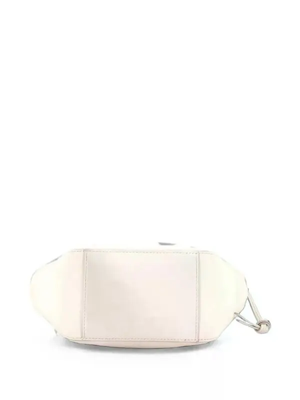 Loewe Hammock Hobo Leather Mini Crossbody Bag