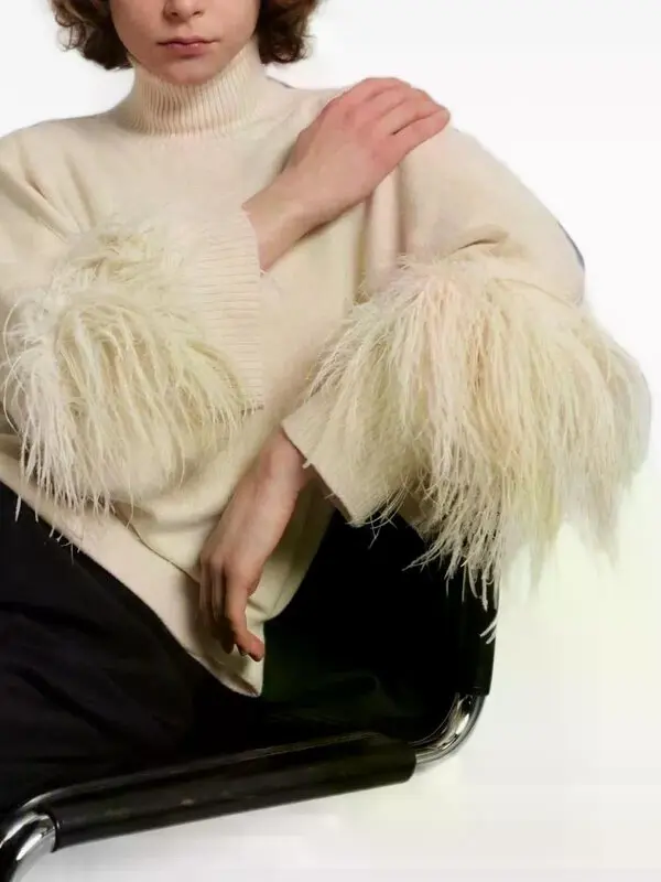 Alberta Ferretti Feather-trim Roll-neck Sweater