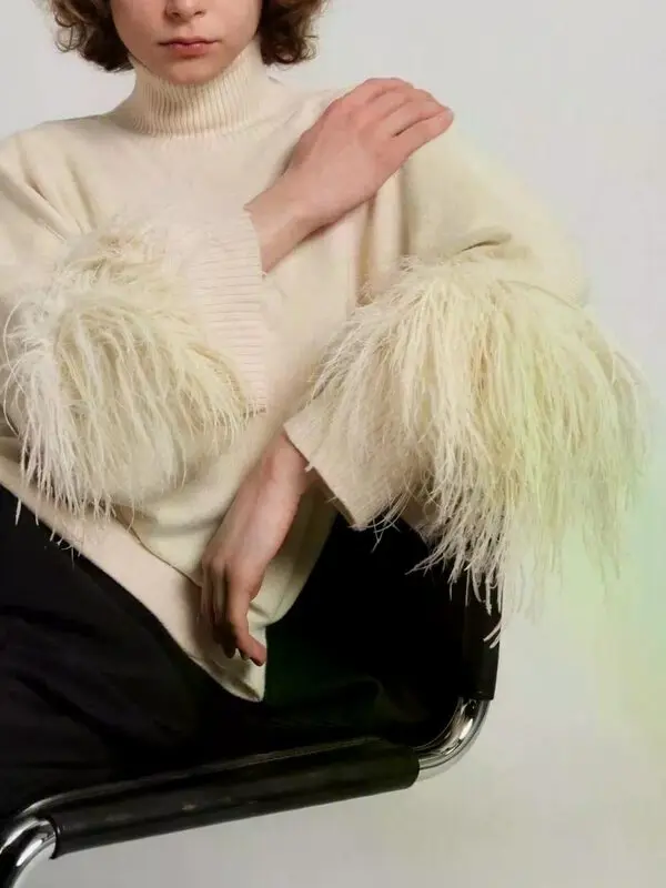Alberta Ferretti Feather-trim Roll-neck Sweater