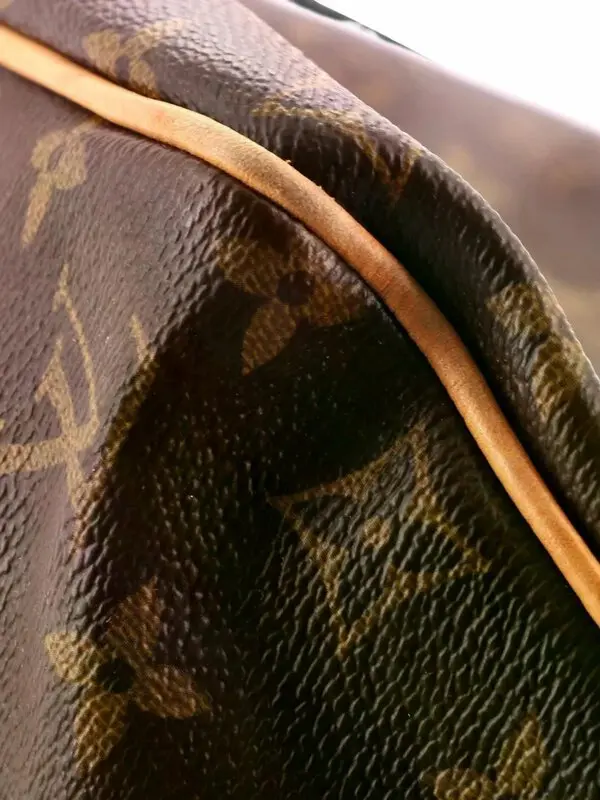 LOUIS VUITTON Delightful Handbag Monogram Canvas Mm Hobo Bag