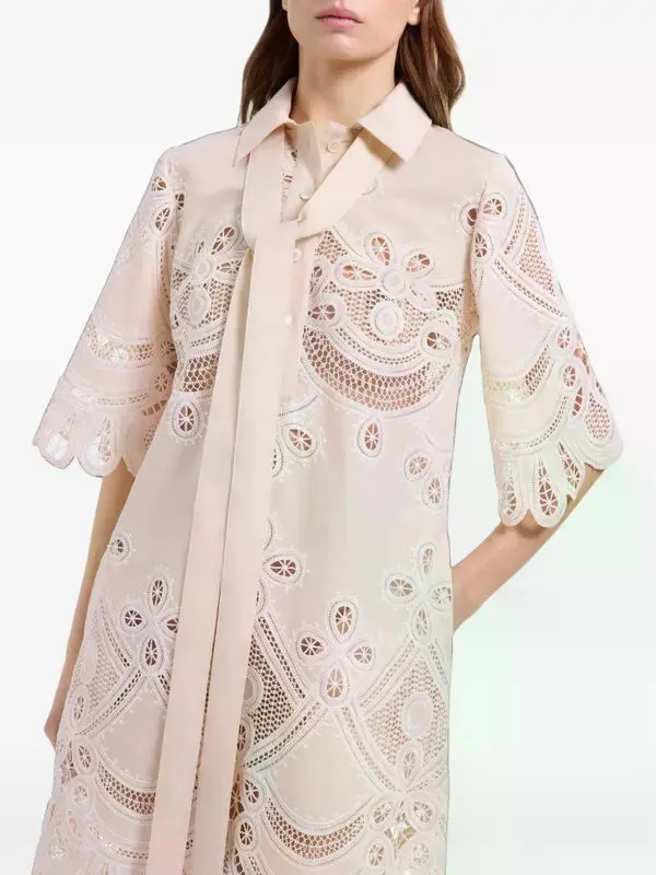 Elie Saab Embroidered Pussy-bow Mini Dress