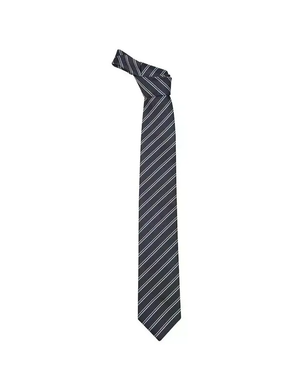 Zegna Striped Silk Tie