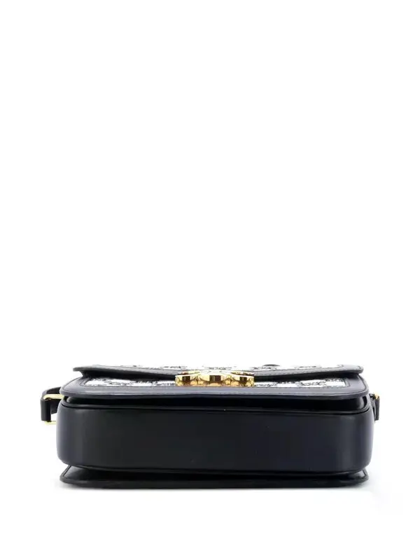 Celine Triomphe Triomphe Canvas Medium Shoulder Bag