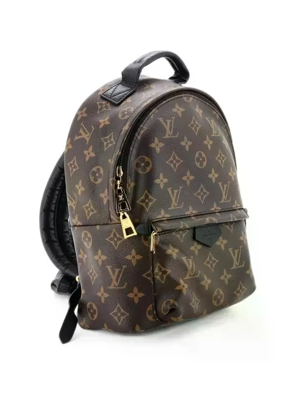 LOUIS VUITTON Palm Springs Monogram Canvas Pm Backpack