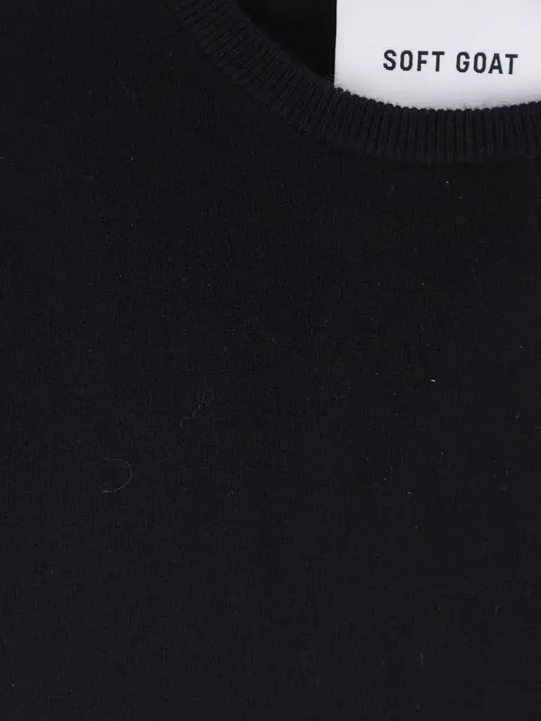 Soft Goat Cashmere Sweater