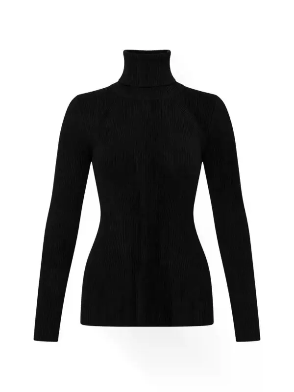 Junya Watanabe Ribbed-knit Roll-neck Sweater
