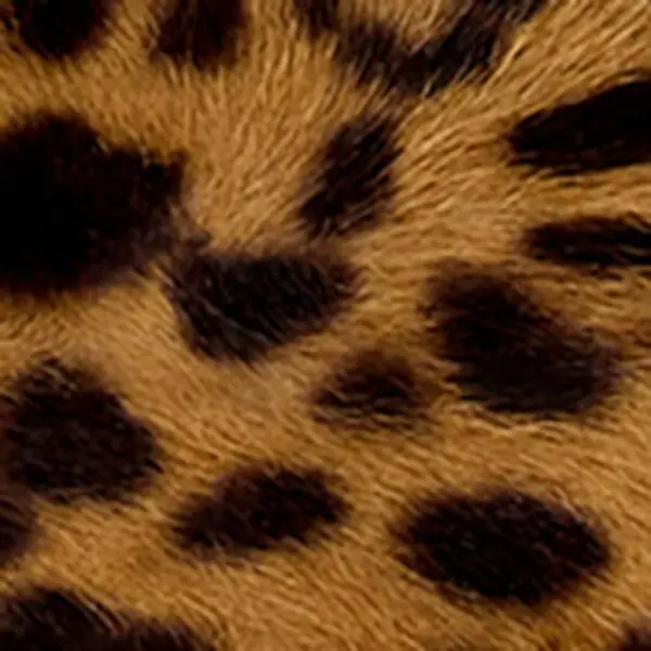 Givenchy Calf Hair Leopard Print Tape Slingback Pumps 85