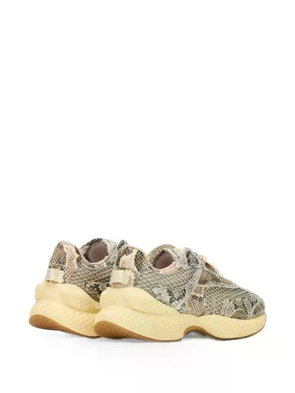Roberto Cavalli Snake-effect Low-top Sneakers
