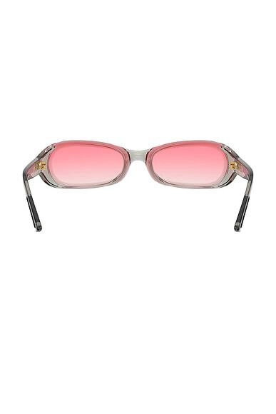 Miu Miu Oval Sunglasses