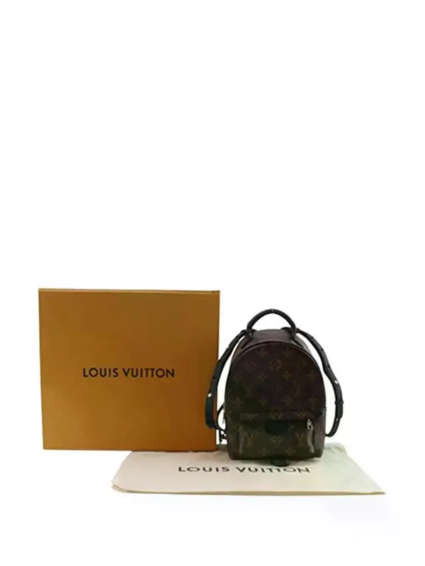 LOUIS VUITTON 2019 Monogram Mini Palm Springs Backpack - Brown