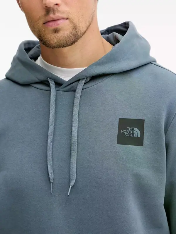 The North Face Evolution Box Half Dome Hoodie