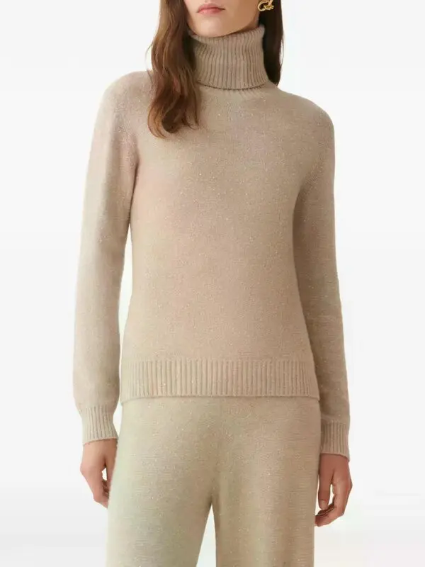 Fabiana Filippi Sequin-embellished Roll-neck Sweater
