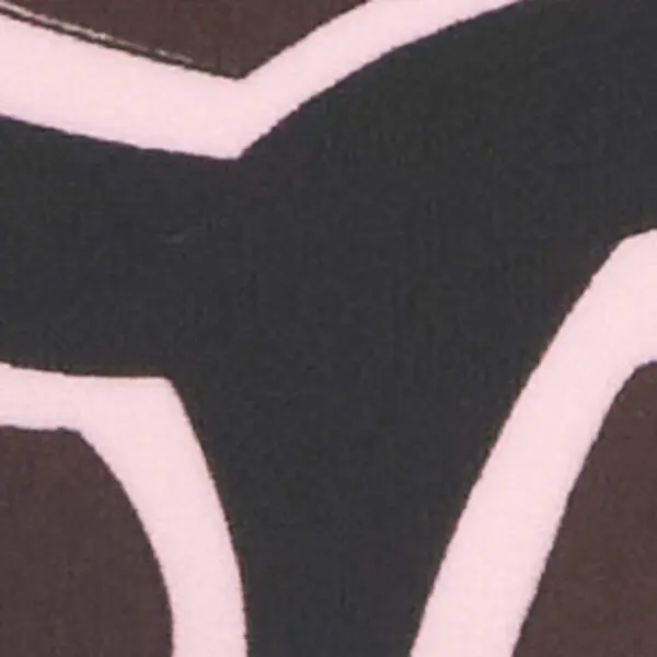 Emilio Pucci Labirinto Print Bikini Bottoms