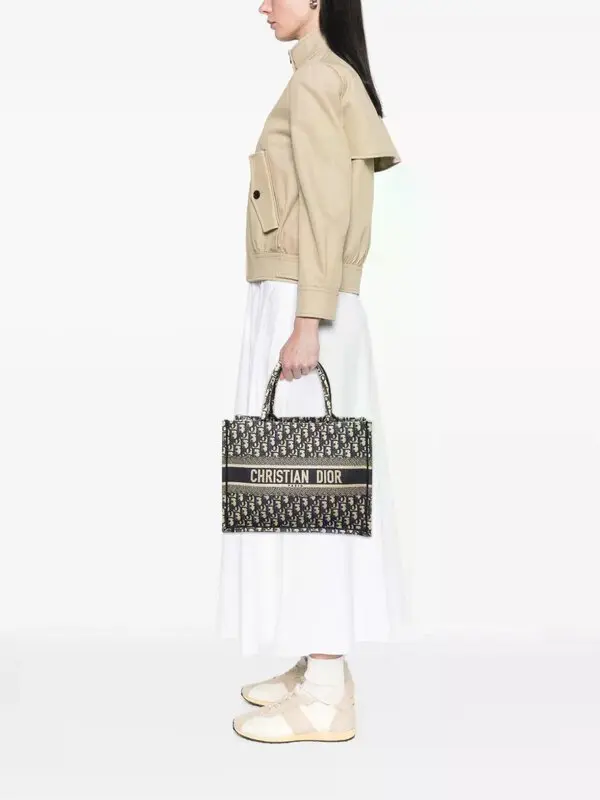 Dior 2022 Medium Oblique Embroidered Canvas Book Tote Bag