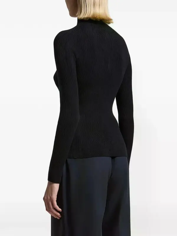 Peserico Ribbed-knit High-neck Sweater