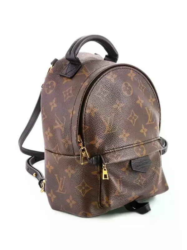 LOUIS VUITTON Palm Springs Monogram Canvas Mini Backpack