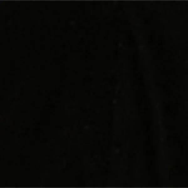 Max Mara Velvet Jacket
