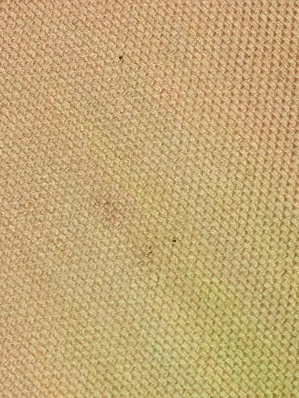 LOUIS VUITTON 2010 Pm Neverfull Monogram Tote Bag
