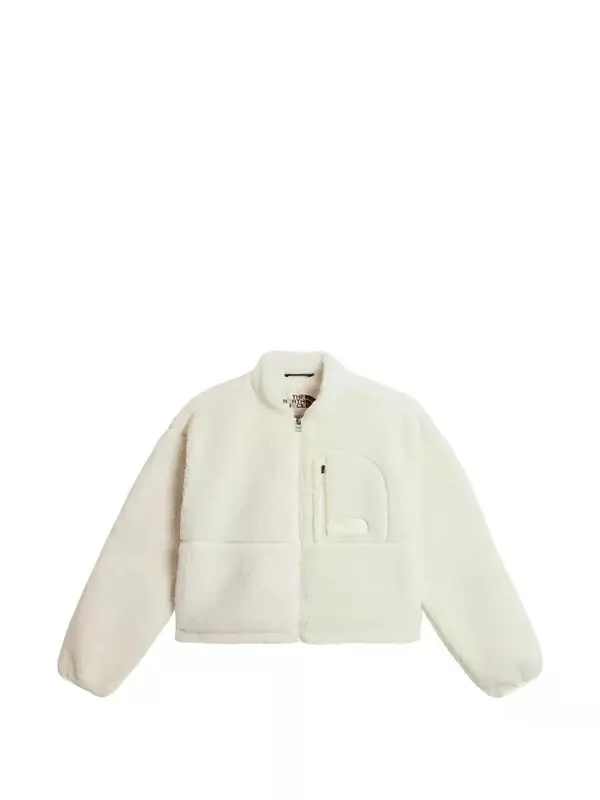 The North Face Extreme Pile 2 Jacket - Neutrals
