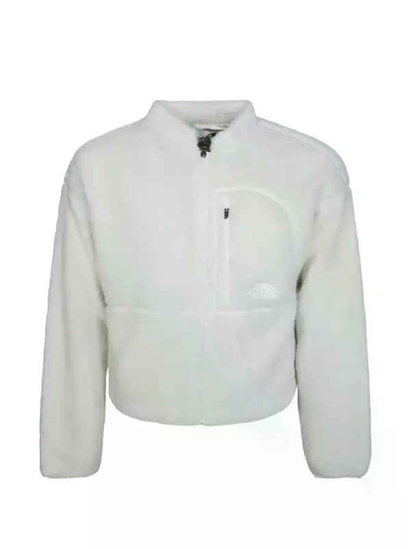 The North Face Extreme Pile 2 Jacket - Neutrals
