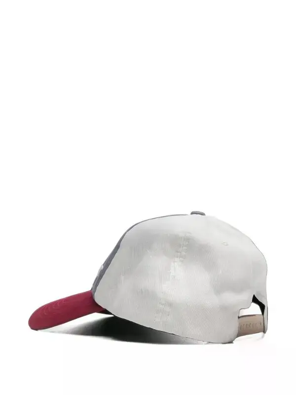 PLEASURES Illegal Snapback Cap