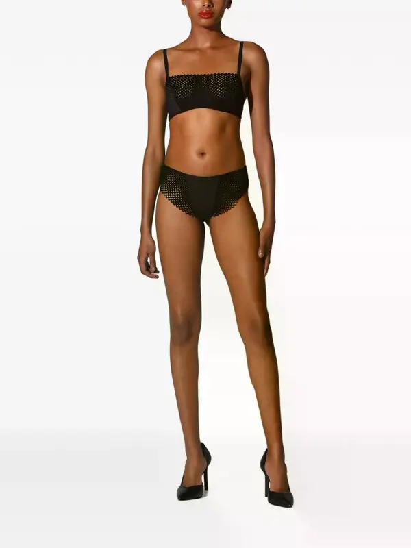 Wolford Romantic Net Briefs