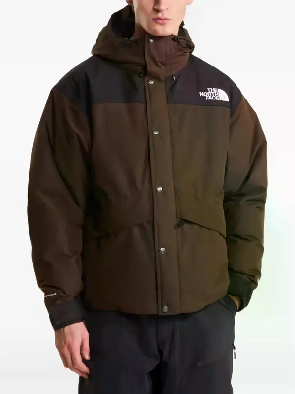 The North Face Mountain Down Jacket