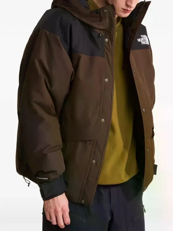 The North Face Mountain Down Jacket