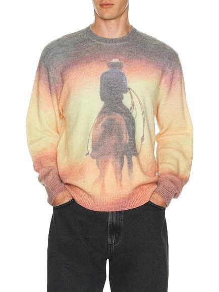 ONE OF THESE DAYS But That Was A Dream Knit Sweater - Multi