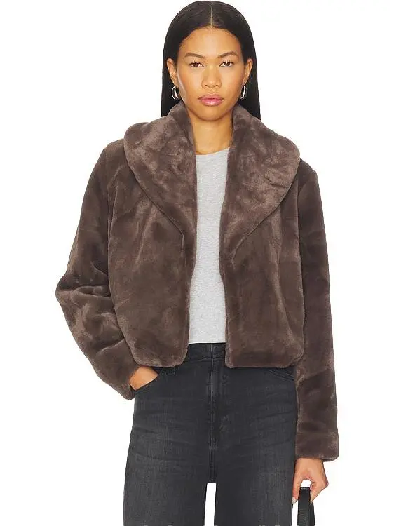 Blanknyc Cropped Faux Fur Coat In . Also - Brown