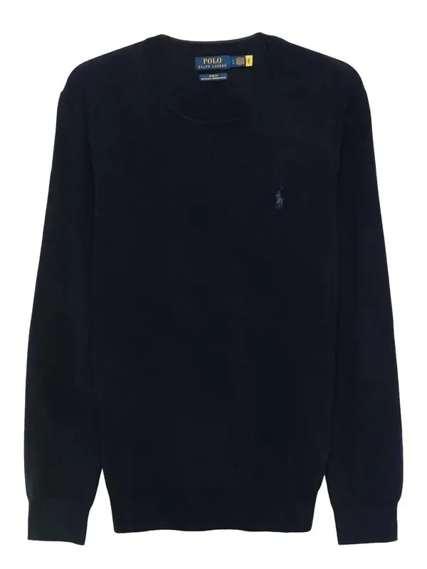 Polo Ralph Lauren Embroidered Crew Neck Sweater - Blue
