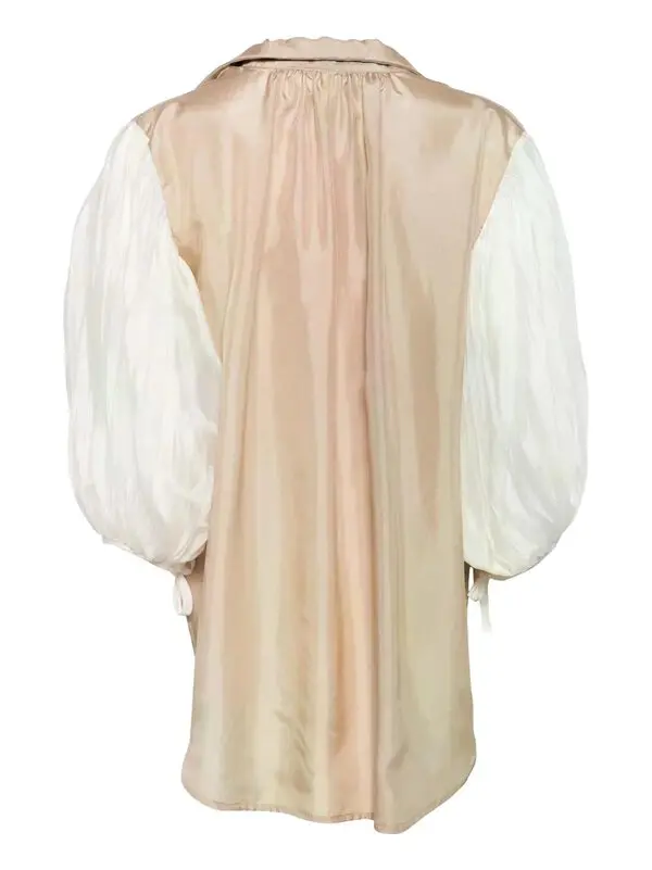 SHANSHAN RUAN Three-quarter Length Pleated Blouse - Neutrals