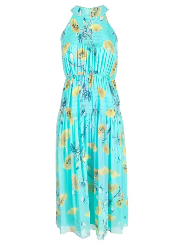 Diane Von Furstenberg Lupin Sleeveless Floral Print Maxi Dress - Blue