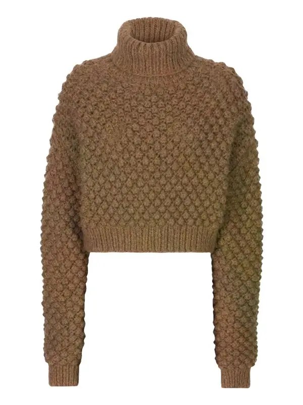 Dolce & Gabbana Alpaca Wool-blend Roll Neck Cropped Jumper - Brown