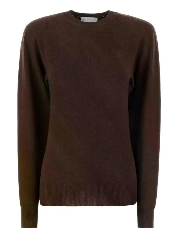 Stella McCartney Crew Neck Sweater - Brown