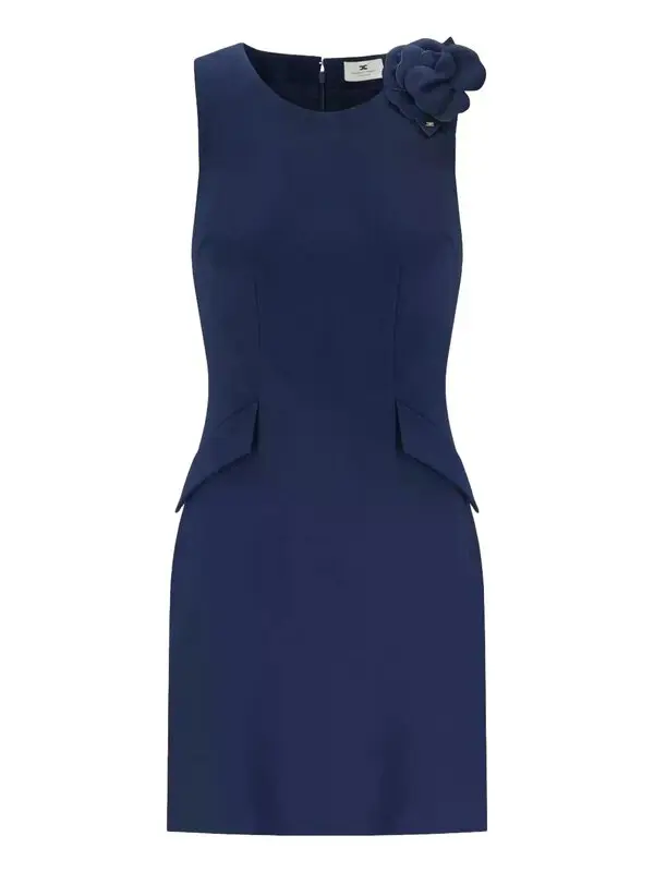 Elisabetta Franchi Sleeveless Dress With Floral Appliqu - Blue