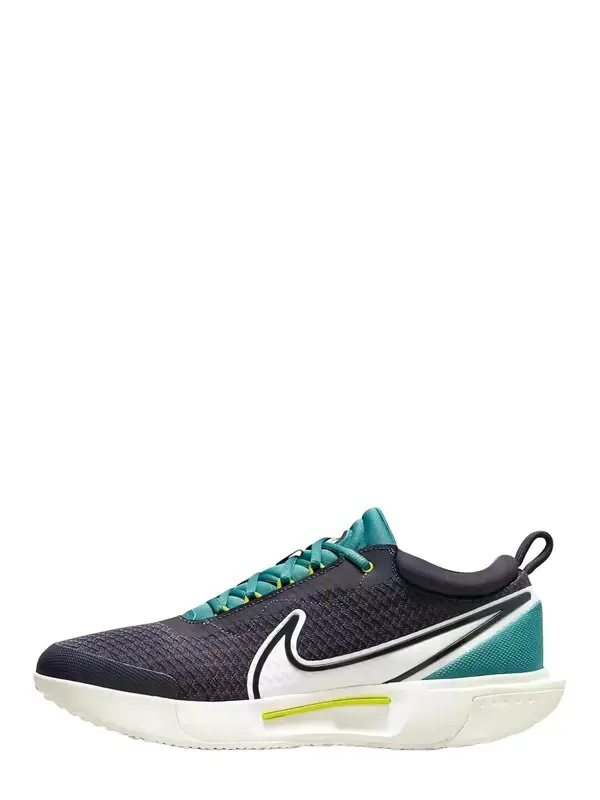 Nike Zoom Court Pro Sneakers - Black