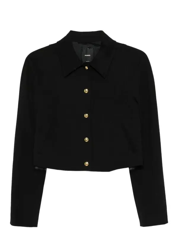 Pinko Cropped Jacket With Button Fastening - Black