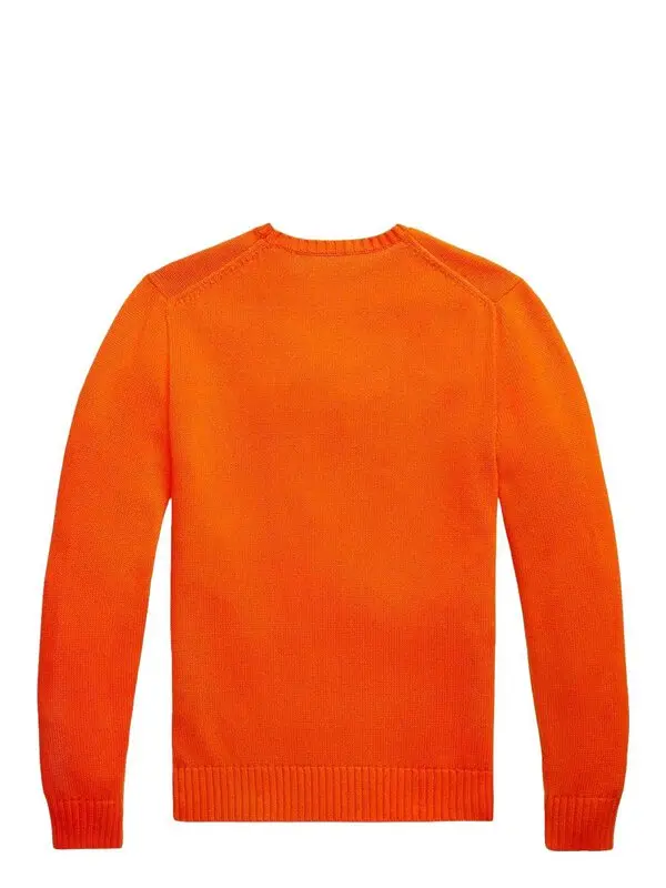 Polo Ralph Lauren Embroidered Crew Neck Sweater - Orange