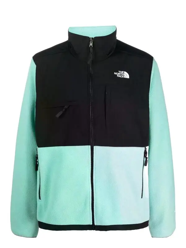 The North Face Denali Zip-up Jacket - Green
